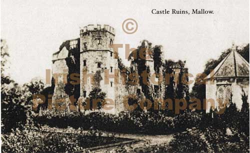 Mallow, Co. Cork, Ireland CC-00696 - The Historical Picture Archive