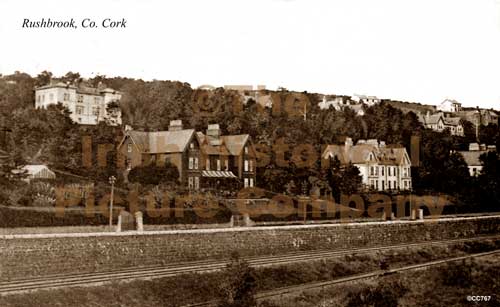 Rushbrook, Co. Cork, Ireland CC-00767 - The Historical Picture Archive