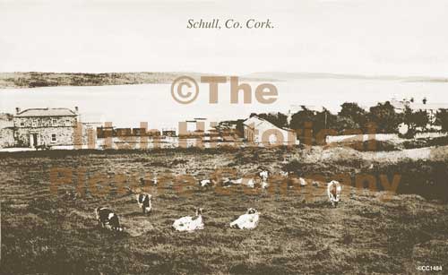 Schull, Co Cork, Ireland. old photograph. CC-01484 - The Historical ...