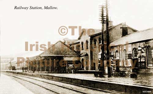 Railway Station, Mallow, Co. Cork CC-01659 - The Historical Picture Archive