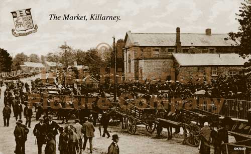 The Market, Killarney, Co Kerry, Ireland. KR-00447 - The Historical ...