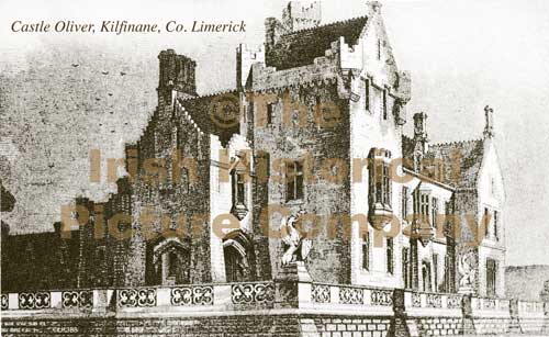 Castle Oliver, Kilfinane, Co. Limerick LK-00398 - The Historical ...