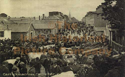 Carrickmacross Cattle Fair, Co Monaghan, Ireland. old Irish photograph ...