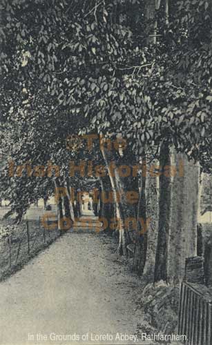 In The Grounds Of Loreto Abbey, Rathfarnham, Dublin QO-00302 - The ...