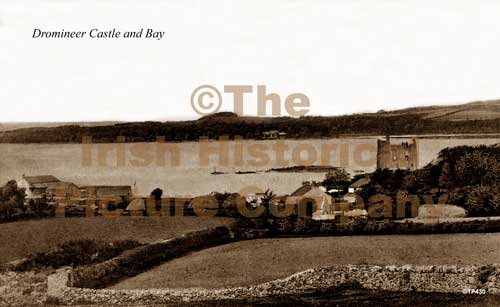 Dromineer Castle and Bay, Nenagh, Co Tipperary, Ireland. old photograph ...