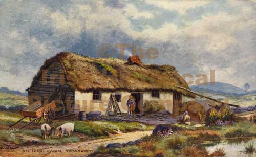 An Irish Cabin c1906, Roundwood, Co. Wicklow WK-00549 - The Historical ...