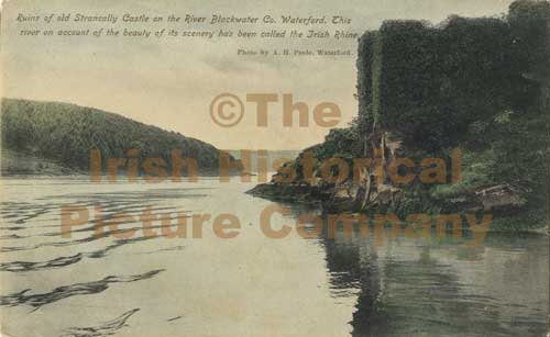 Ruins of old Strancally Castle on the river Blackwater, Knockanore, Co ...