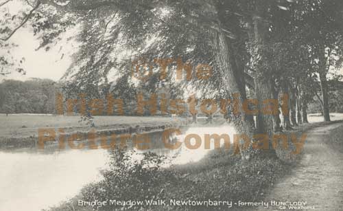 Bridge Meadow Walk, Newtownbarry, formerly Bunclody, Co Wexford ...
