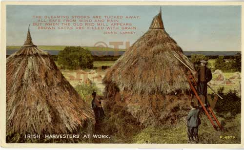 Irish Harvesters at Work IL-01130 - The Historical Picture Archive
